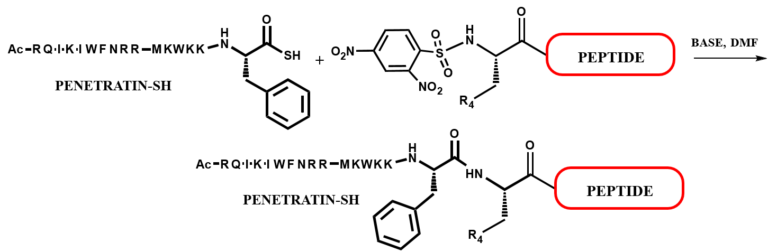C-Terminal Peptide Modifications – DeliverTides